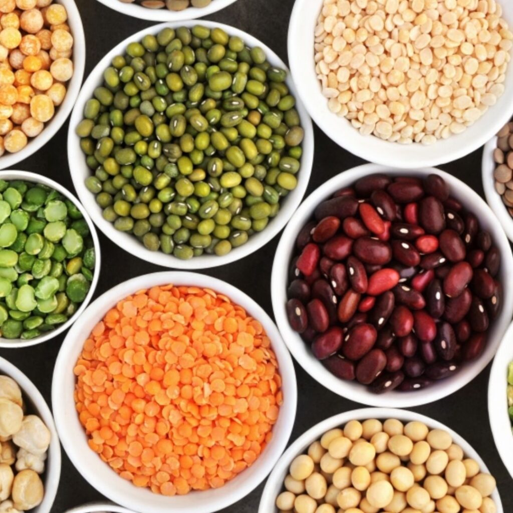 4 Common Questions We Receive About Beans - 21st Century Bean